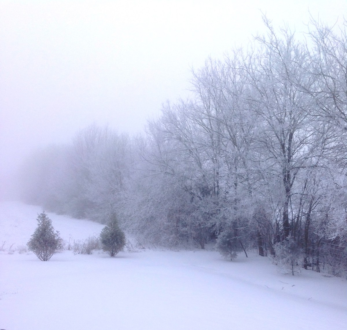 Snowy Sunday – KMH SERVICES